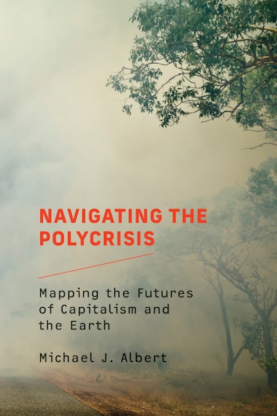 Navigating the Polycrisis by Michael J. Albert - Penguin Books Australia Navigating the Polycrisis by Michael J. Albert - Penguin Books Australia