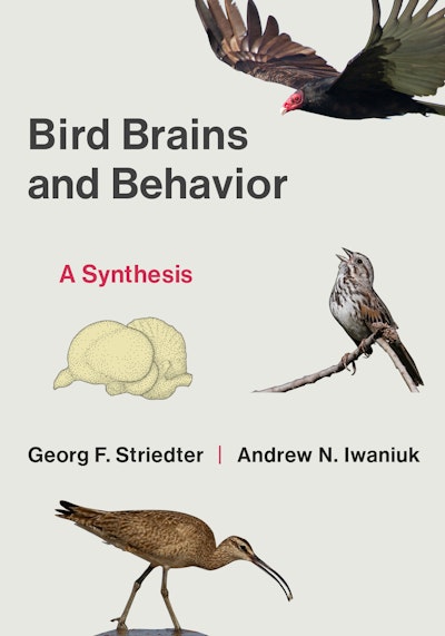 Bird Brains and Behavior - Penguin Books Australia