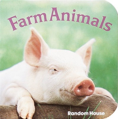 Farm Animals by Phoebe Dunn - Penguin Books New Zealand