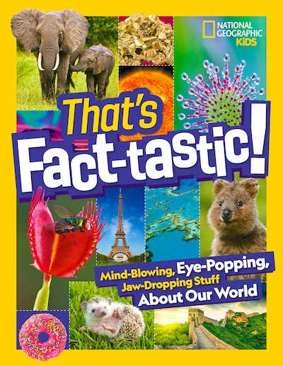 That's Fact-tastic! by National Geographic - Penguin Books Australia