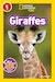 Giraffes (National Geographic Kids Readers, Level 1) by NATIONAL ...
