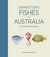 Swainston's Fishes of Australia: The complete illustrated guide by ...