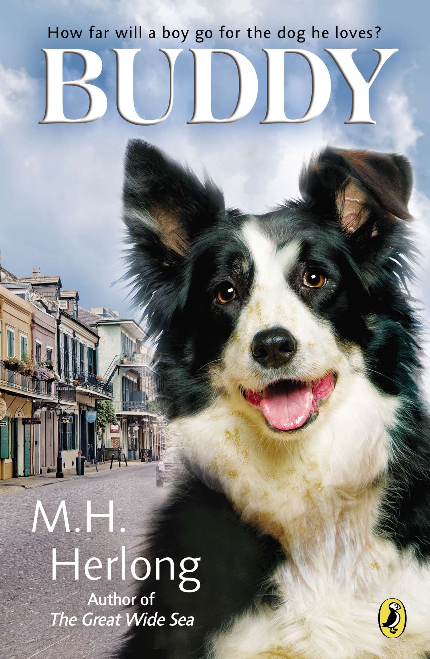 Buddy by M.H. Herlong - Penguin Books New Zealand