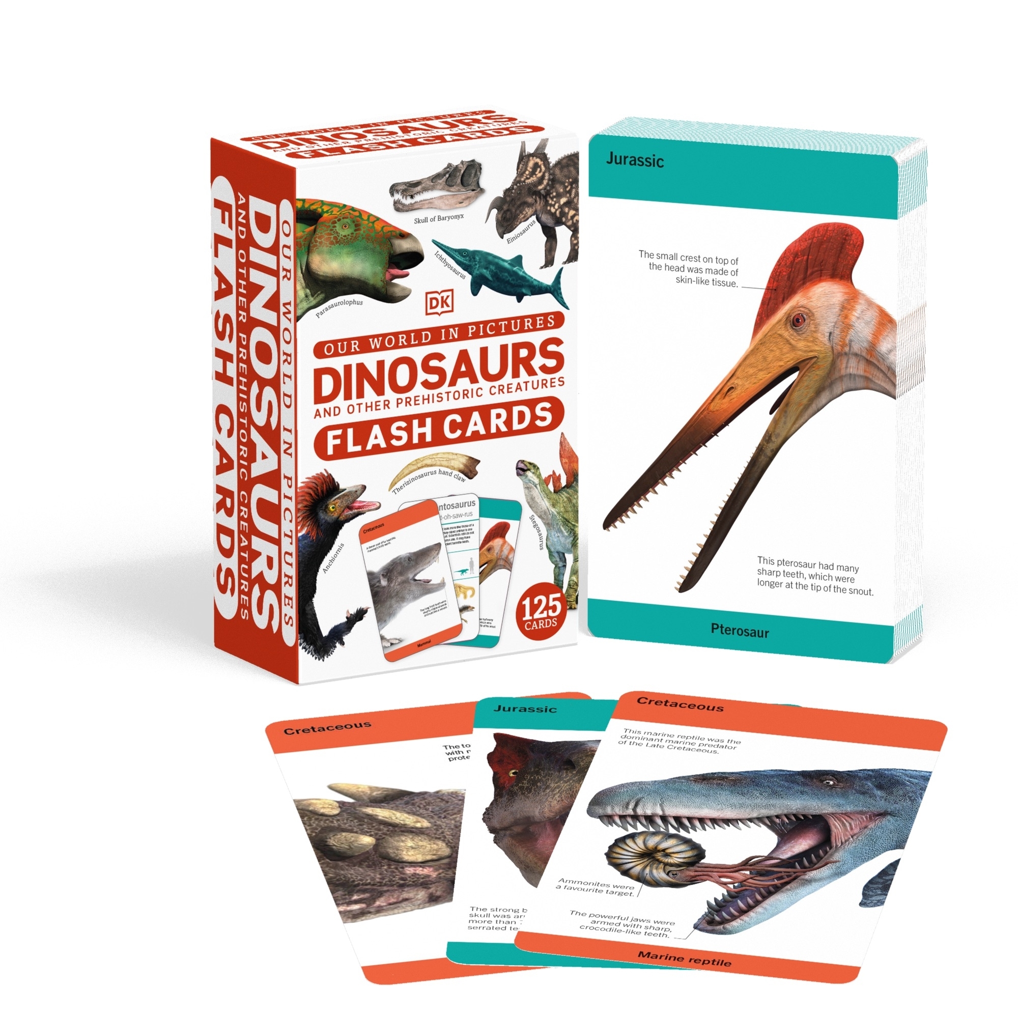 Our World in Pictures Dinosaurs and Other Prehistoric Creatures Flash ...