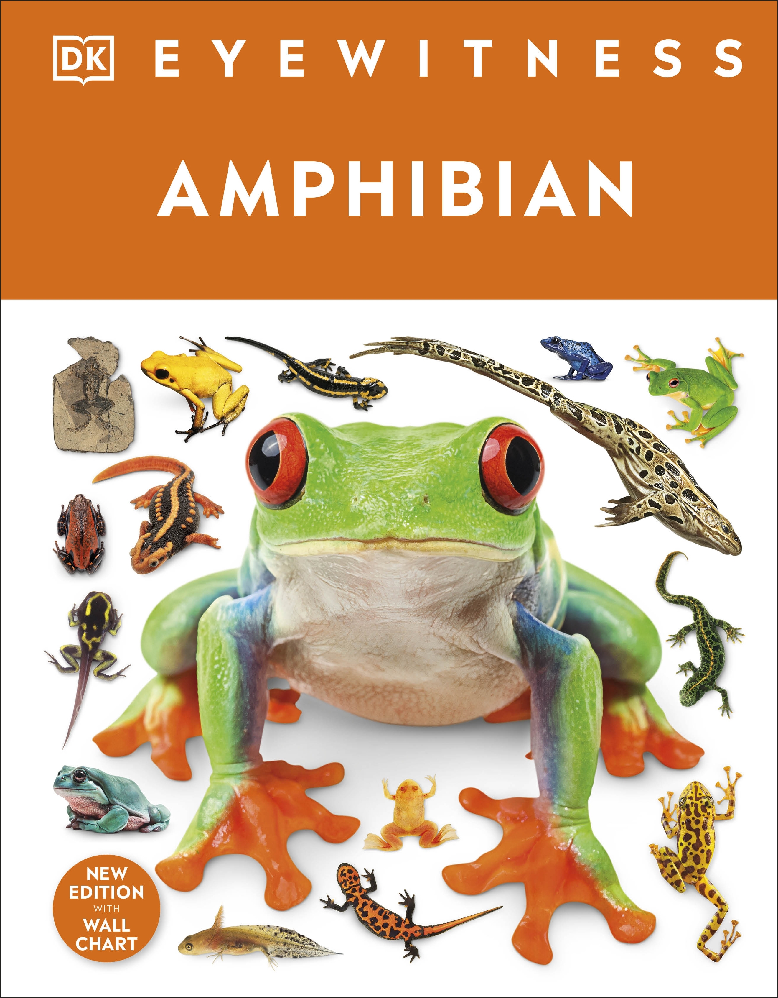 Eyewitness Amphibian - Penguin Books New Zealand