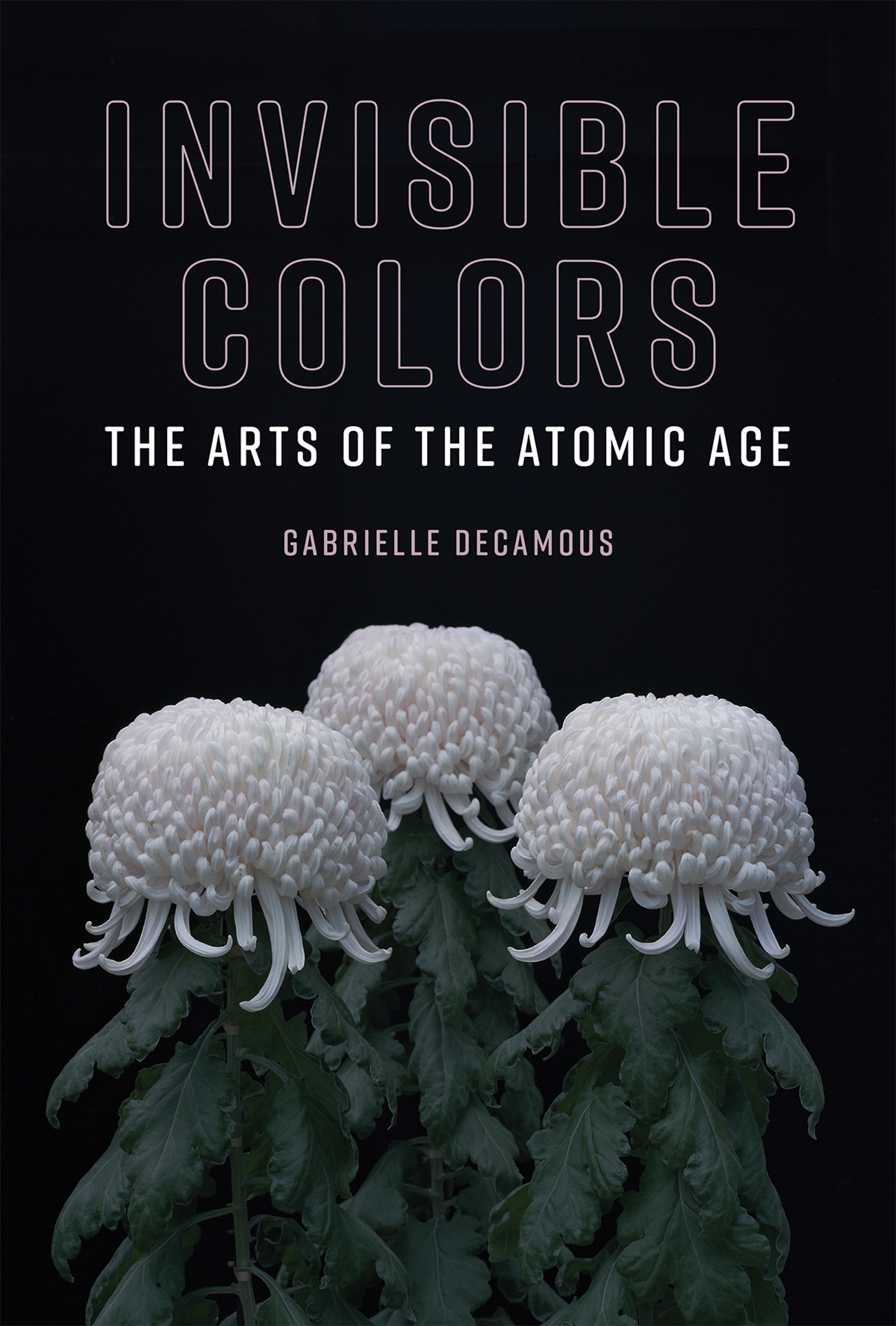 Invisible Colors by Gabrielle Decamous - Penguin Books Australia