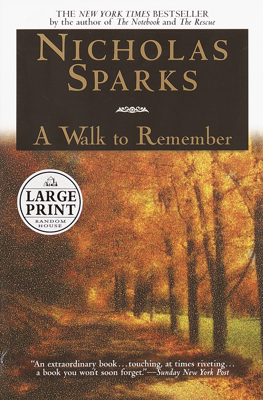 Large Print: A Walk To Remember by Nicholas Sparks - Penguin Books New ...
