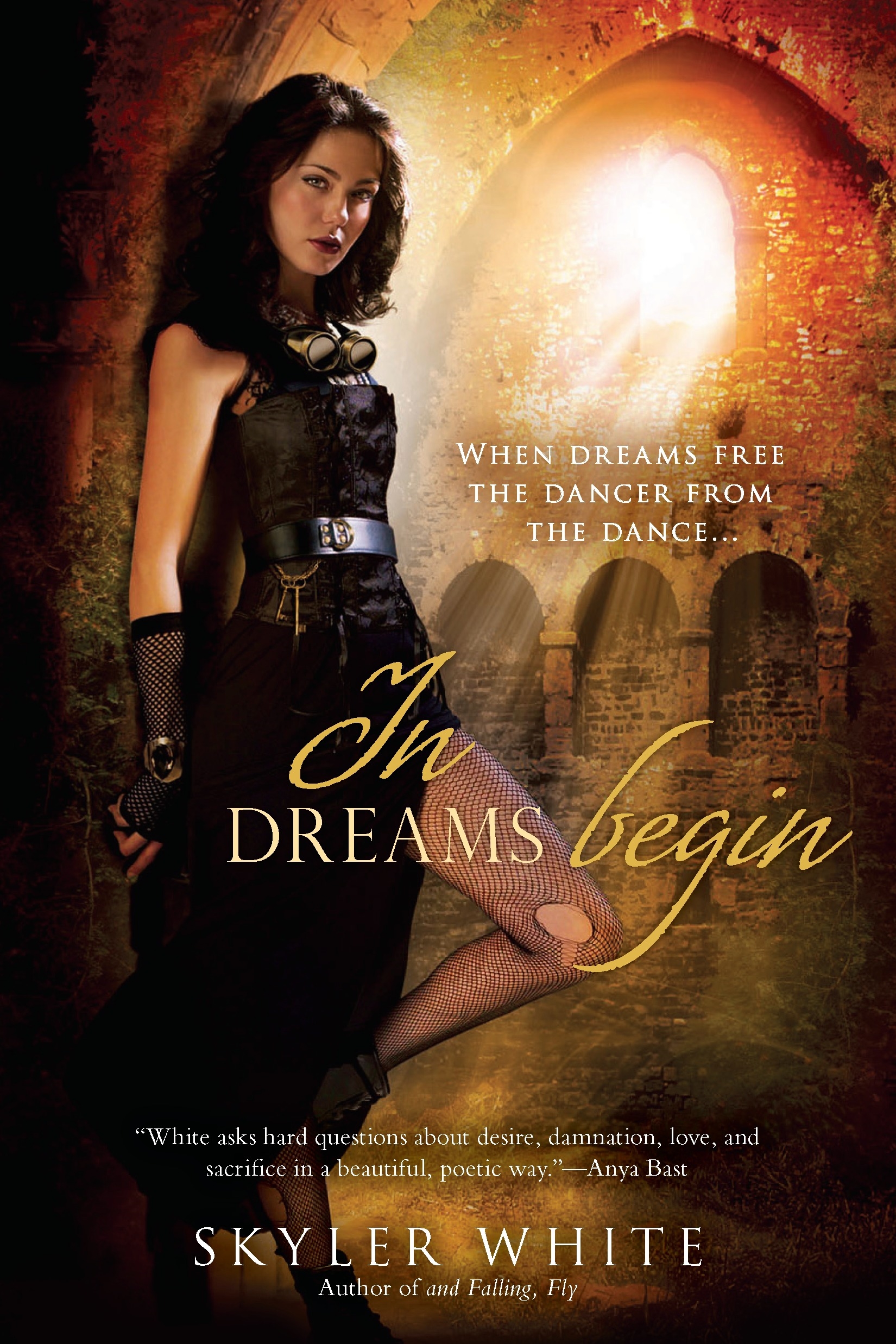 In Dreams Begin - Penguin Books Australia