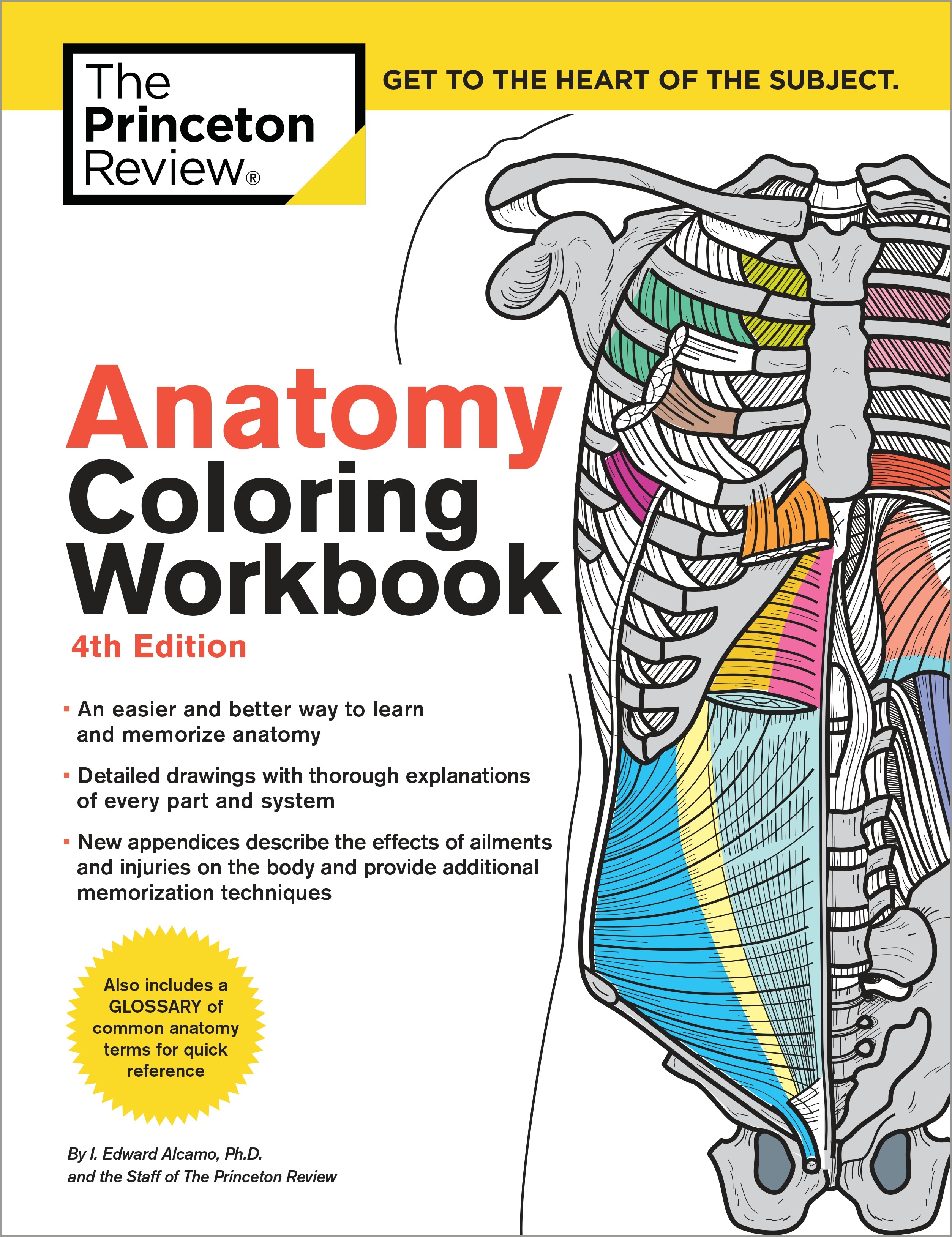 Anatomy Coloring Workbook 4th Edition By The Princeton Review