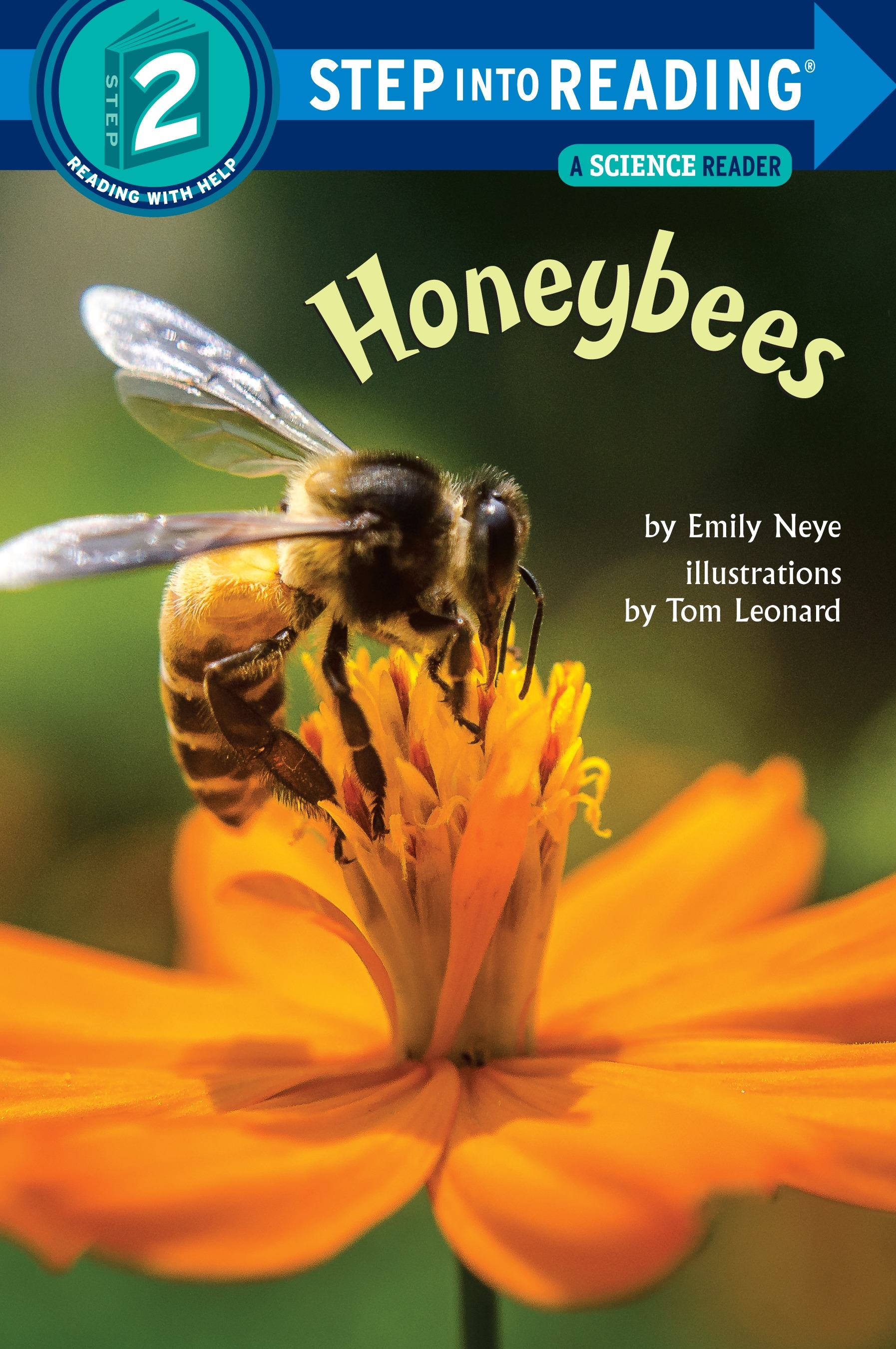 Honeybees - Penguin Books New Zealand