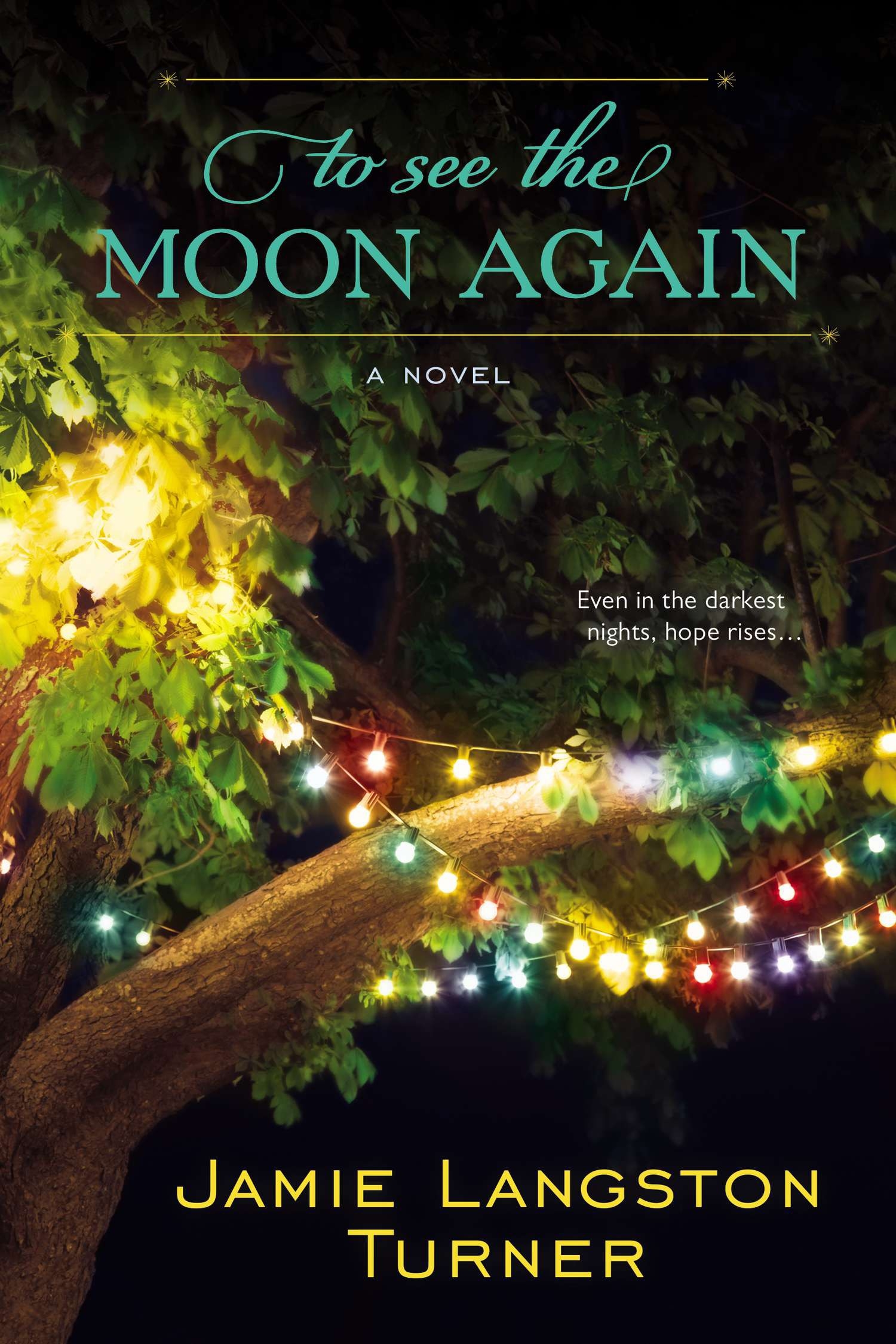 To See the Moon Again by Jamie Langston Turner - Penguin Books Australia