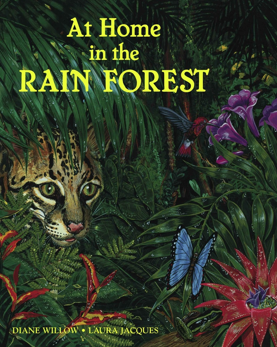 At Home in the Rain Forest by DIANE WILLOW - Penguin Books Australia