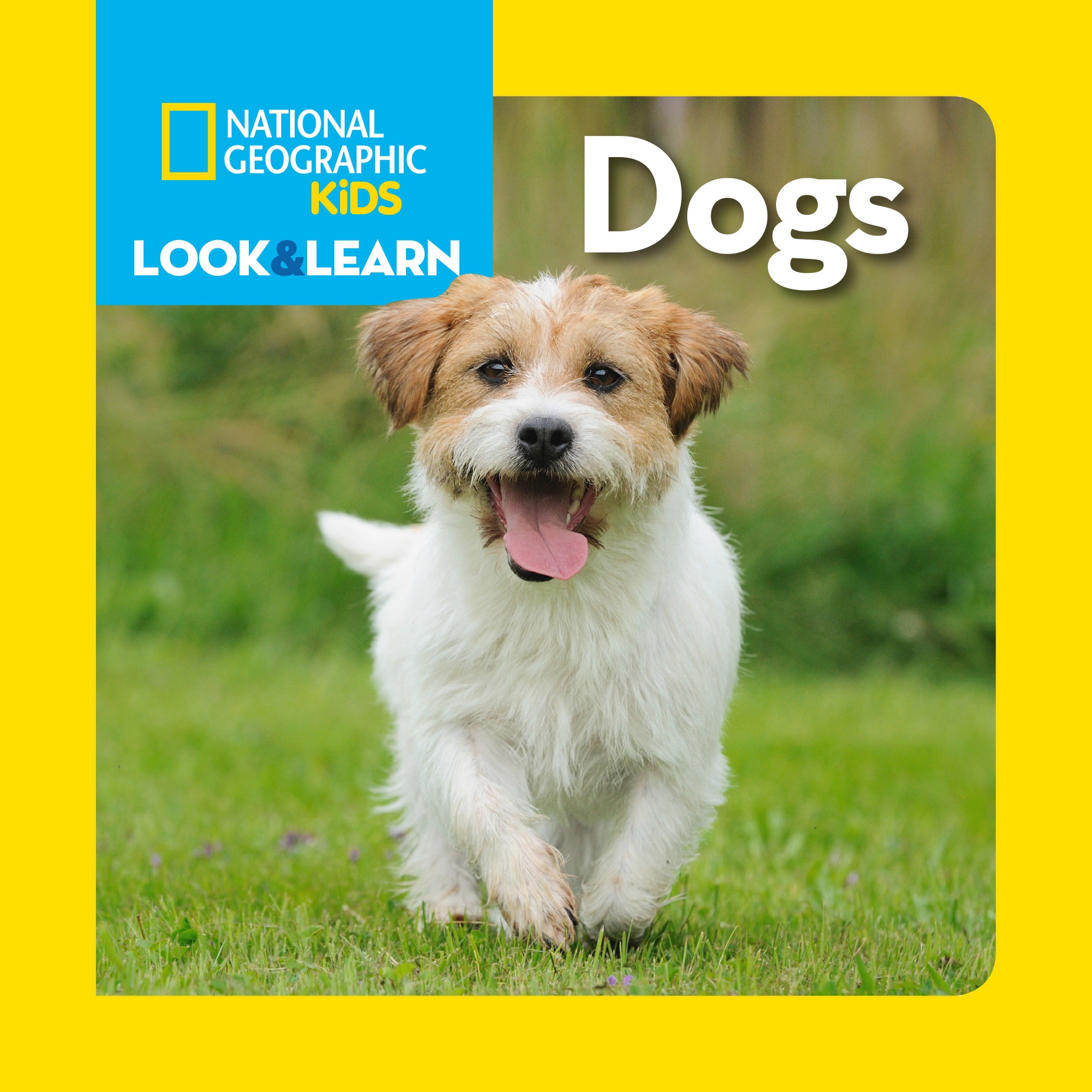 National Geographic Kids Look and Learn: Dogs by NATIONAL GEOGRAPHIC ...