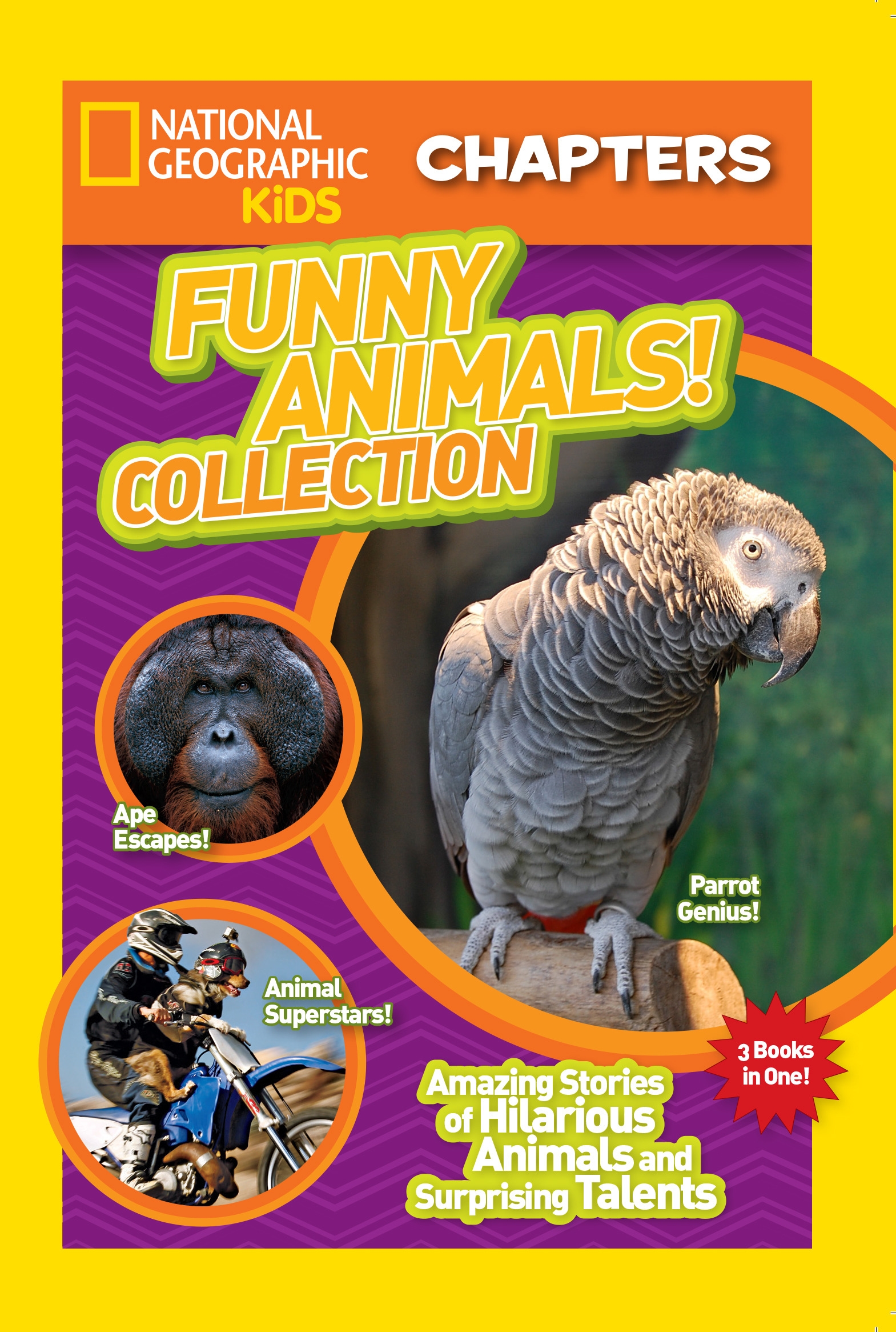 Laughing Animals Djeco Games Loto Funny Animals New Leap Trading