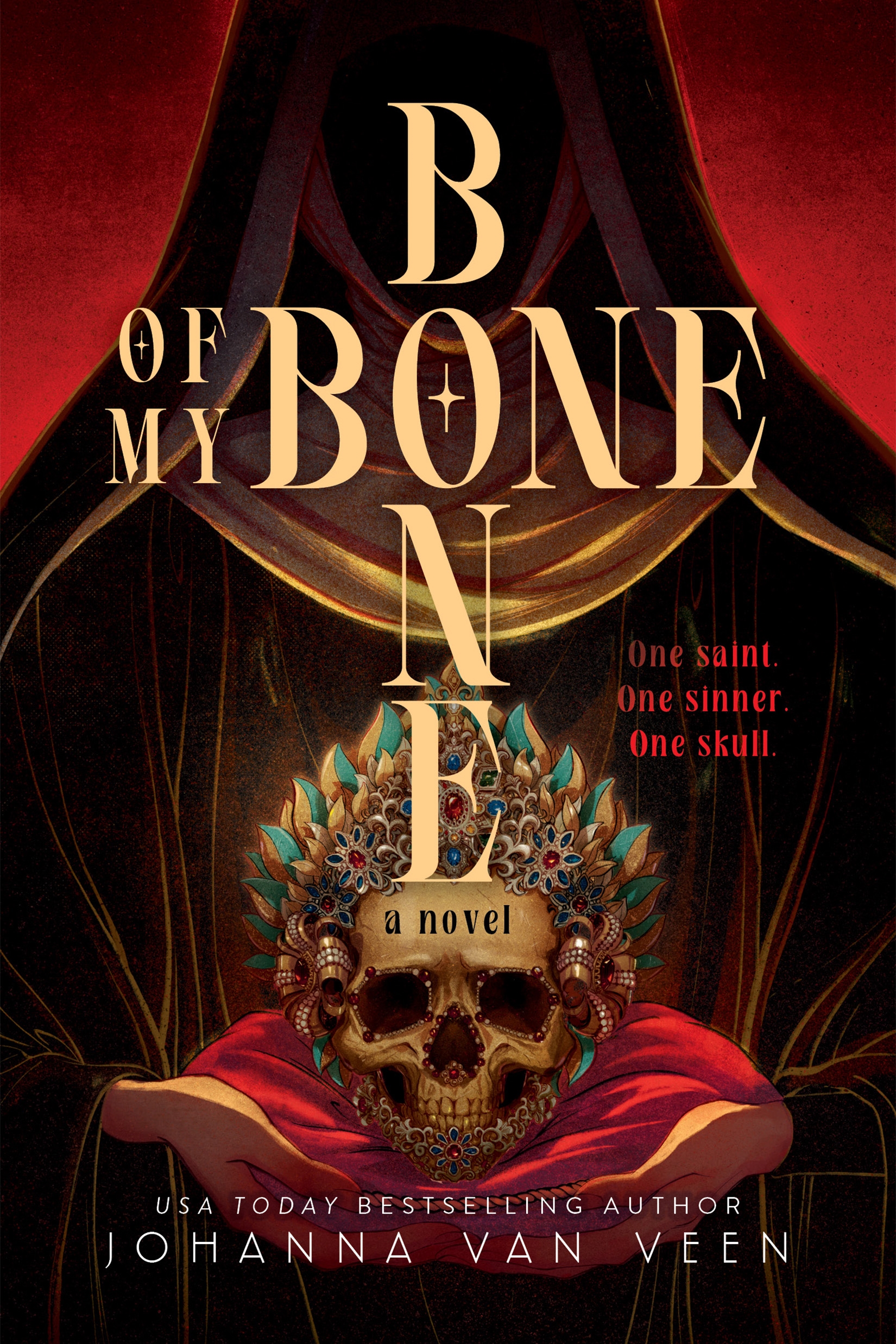 Bone of My Bone by Johanna van Veen - Penguin Books New Zealand