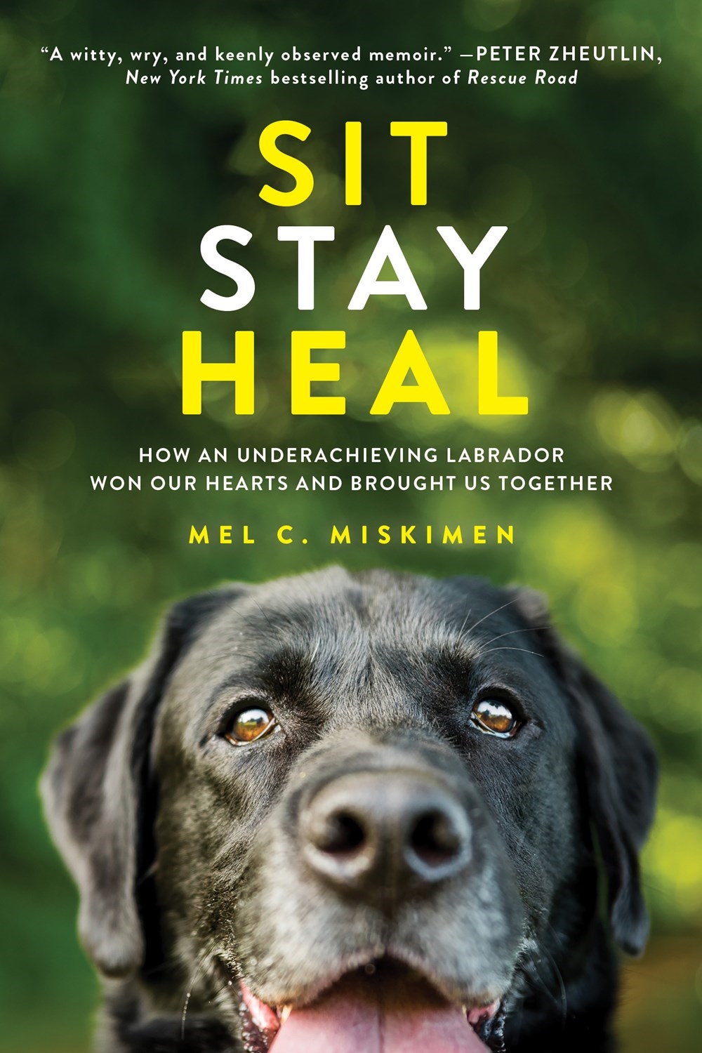 Sit Stay Heal by Mel Miskimen - Penguin Books Australia