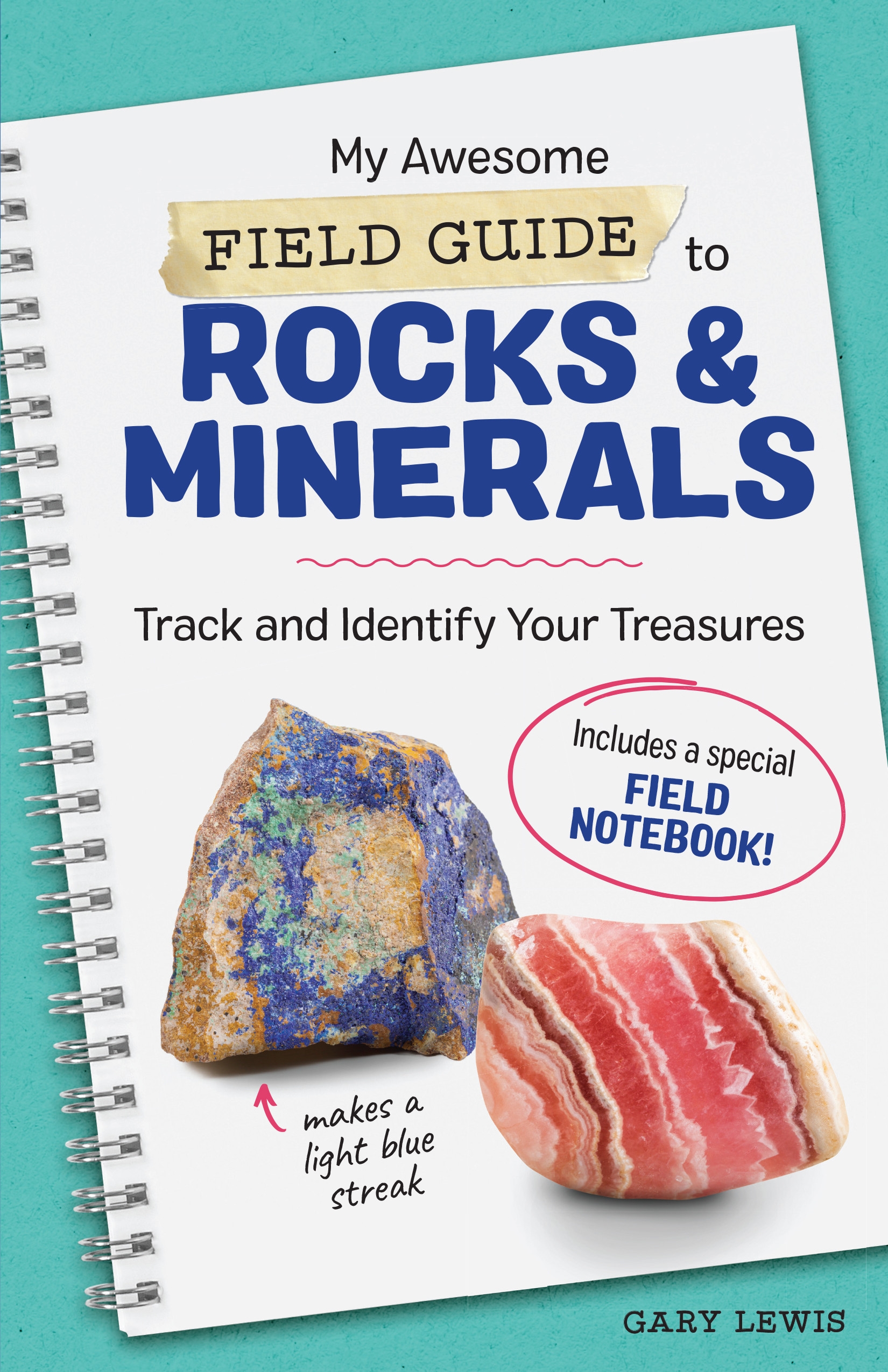 My Awesome Field Guide to Rocks and Minerals by Gary Lewis - Penguin ...